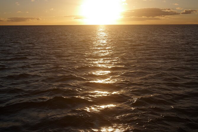 Sunset Sail Experience at Kona from Honokohau - Is This Tour Worth It?