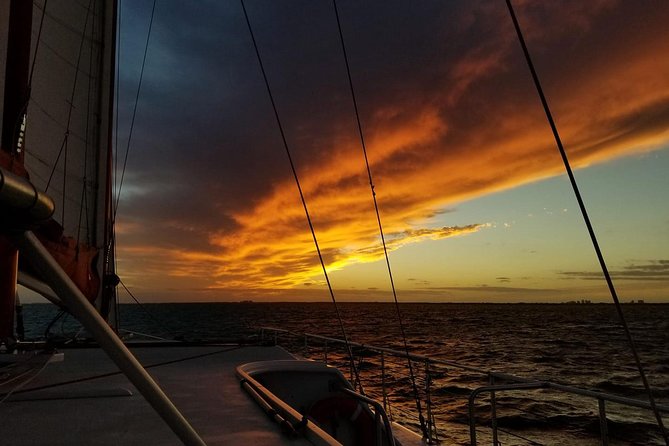 Sunset Sail in Miami: Complimentary Champagne Toast - Introduction