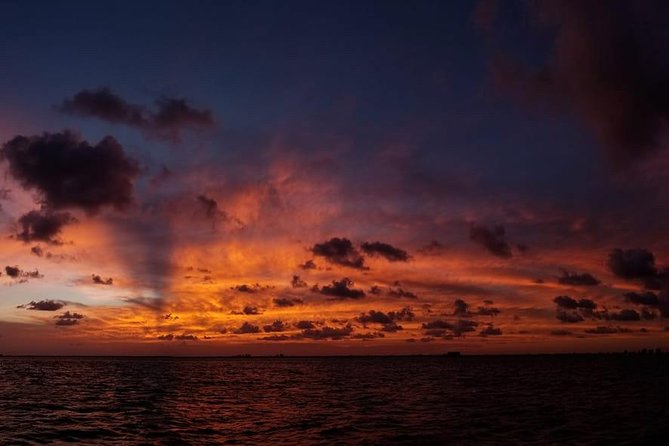 Sunset Sail in Miami: Complimentary Champagne Toast - A Closer Look at the Sunset Sail Experience