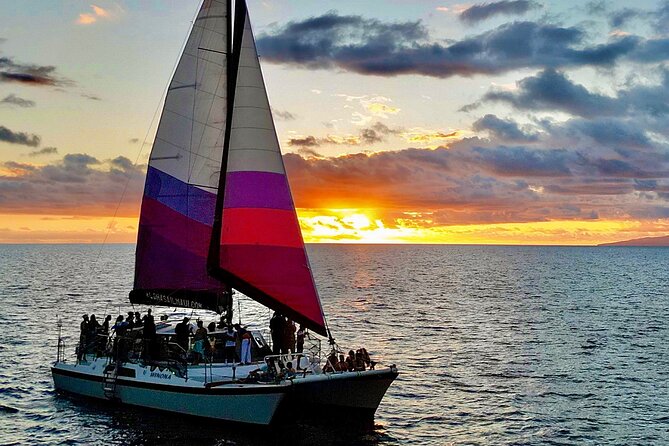 Sunset Sail on a Small Charming Hawaiian Catamaran Maalaea Harbor - The Bottom Line: Who Should Choose This Tour?