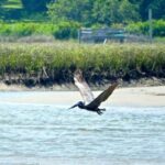 Sunset Sail Tour - An In-Depth Look at What to Expect