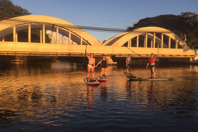 Sunset Stand Up Paddle with Photos and Turtles - Who Would Love This Experience?