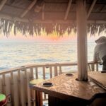Sunset Tailfins Tiki Boat Crab Island(1.5Hours) - The Value Proposition