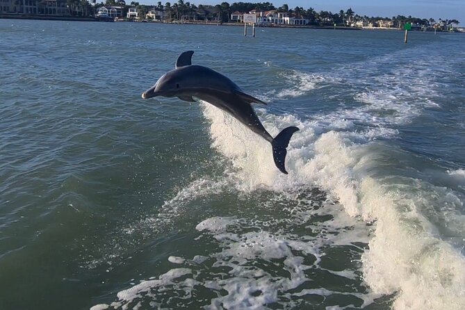 Sunset Tour in Naples Bay on a New Godfrey- All included - Who Is This Tour Best For?