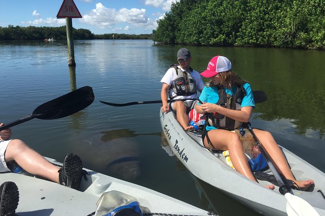 Sunset Tour Mangrove, Dolphins, Manatee #1 Rated in Cocoa Beach - FAQ