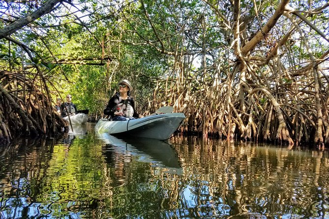 Sunset Tour Mangrove, Dolphins, Manatee #1 Rated in Cocoa Beach - Final Thoughts