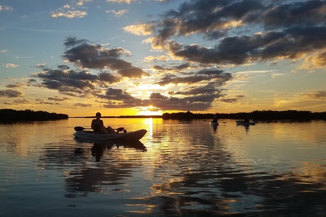 Sunset Tour Mangrove, Dolphins, Manatee #1 Rated in Cocoa Beach - Final Recommendation