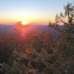Sunset Tree Climb at Silver Falls State Park - What to Expect from the Sunset Tree Climb Adventure