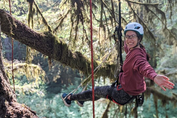 Sunset Tree Climb at Silver Falls State Park - Practical Details and Value