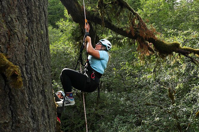 Sunset Tree Climb at Silver Falls State Park - What Reviewers Love Most