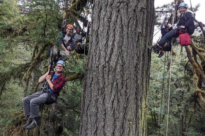 Sunset Tree Climb at Silver Falls State Park - Who Should Consider This Tour?