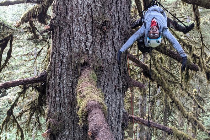 Sunset Tree Climb at Silver Falls State Park - Final Thoughts