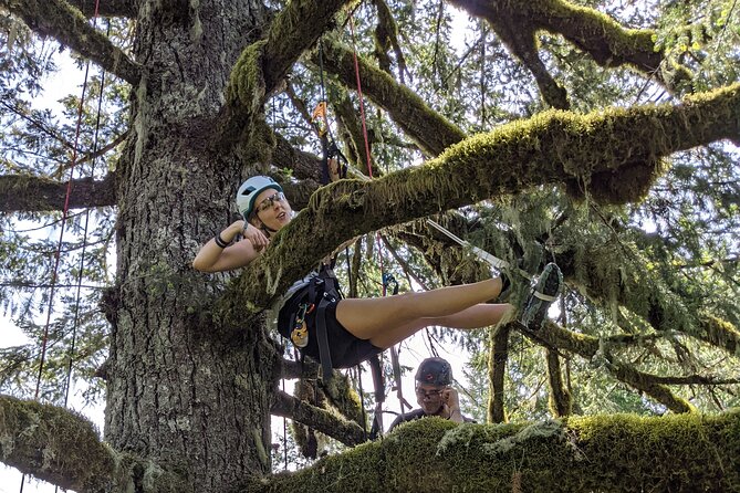 Sunset Tree Climb at Silver Falls State Park - FAQ