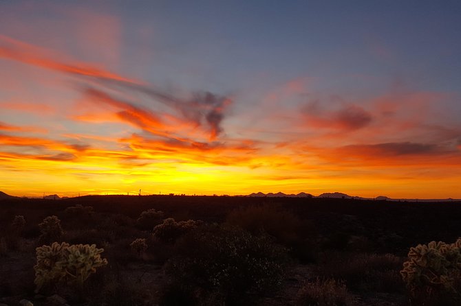 Sunset UTV Sand Buggy Off-Road Adventure Tour Scottsdale - Customer Feedback and Real Experiences
