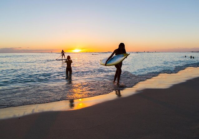 Sunset Whale Watch in Waikiki, Whales Guaranteed or Free Return - Key Points