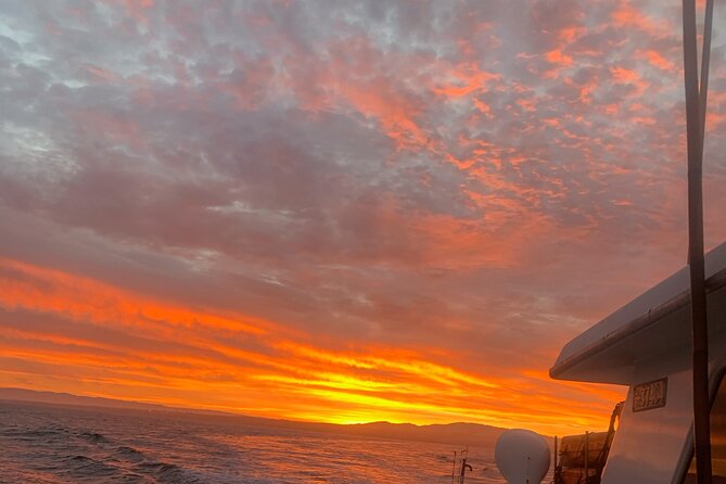 Sunset Whale Watch Tour in Monterey - Key Points