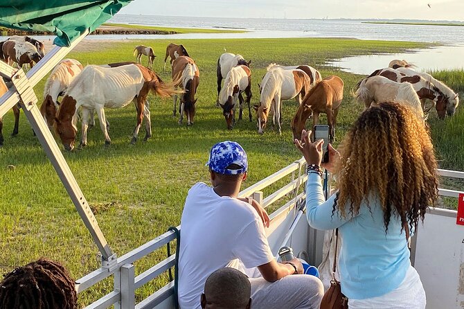 Sunset Wildlife Cruise along Assateague & Chincoteague Island - Who Will Love This Tour?