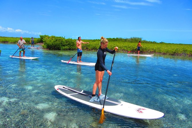 SUP Paddleboard Lesson and Tour - Port Canaveral & Cocoa Beach - Key Points