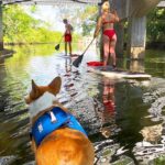 SUP PUP Paddleboard Tour - The Practical Details