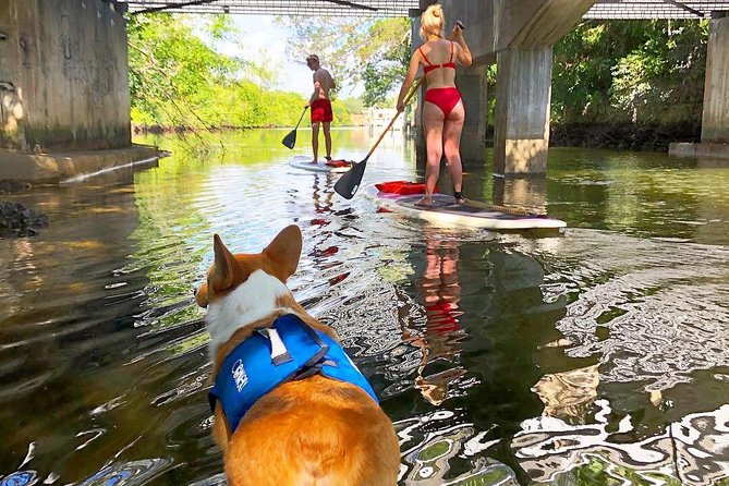 SUP PUP Paddleboard Tour - The Practical Details
