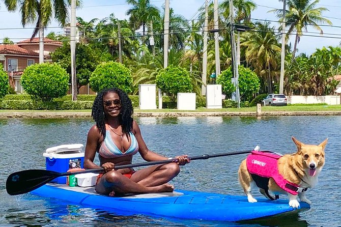 SUP PUP Paddleboard Tour - Final Thoughts