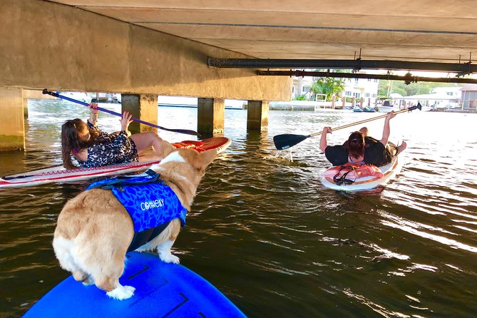 SUP PUP Paddleboard Tour - FAQ