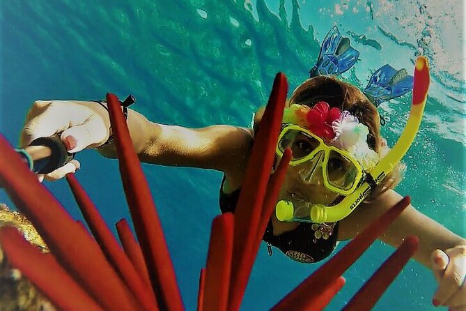 Super Raft - Private Charter Maui 3 Hour Snorkel to Coral Gardens or Molokini - Key Points