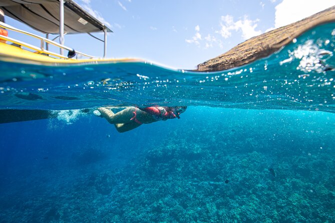 Super Raft - Private Charter Maui 3 Hour Snorkel to Coral Gardens or Molokini - FAQs