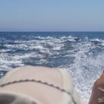 Superior 2hr Private Whale & Dolphin Watching Newport Beach - The Value of This Private Whale & Dolphin Tour