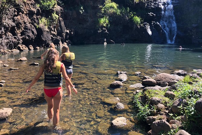 Surf and SeaTurtles Oahu Tour - The Itinerary Breakdown: What to Expect