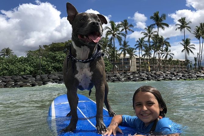 Surf with a Service Animal - Why You’ll Love Surfing with Church in Maui