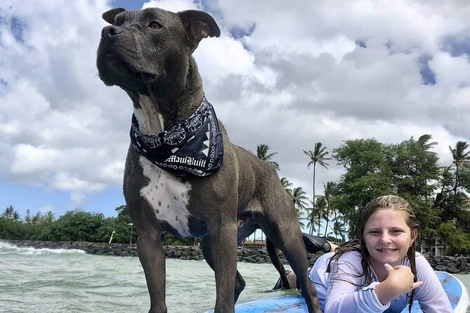 Surf with a Service Animal - The Itinerary in Detail