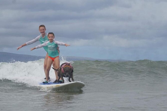 Surf with a Service Animal - Weather and Cancellation Policy