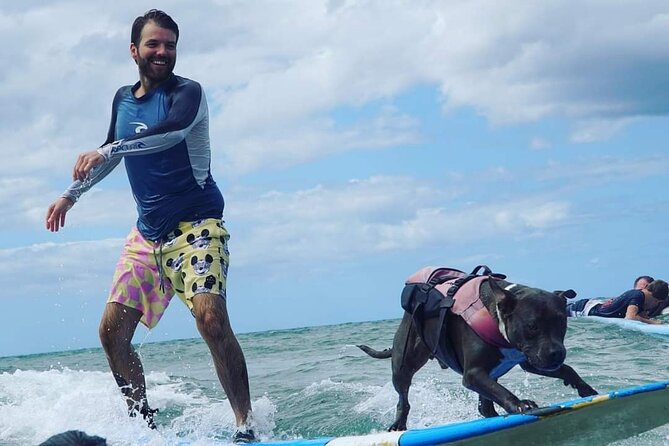Surf with a Service Animal - Authentic Experiences from Reviewers
