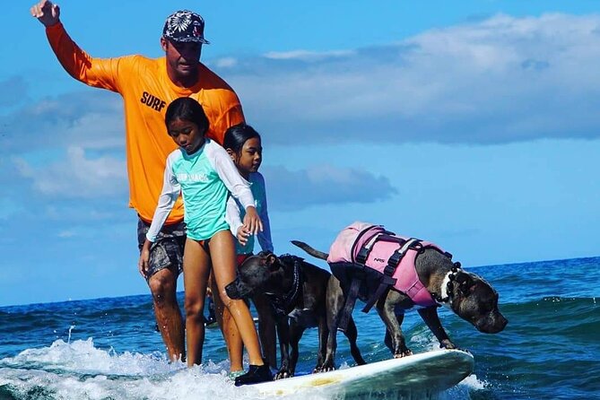 Surf with a Service Animal - Final Verdict