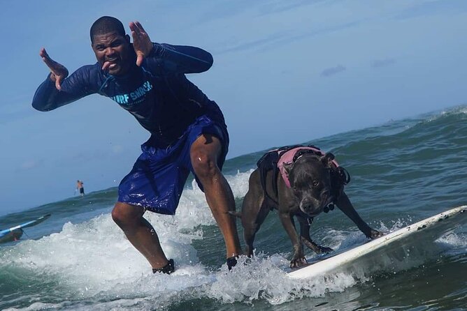 Surf with a Service Animal - FAQs