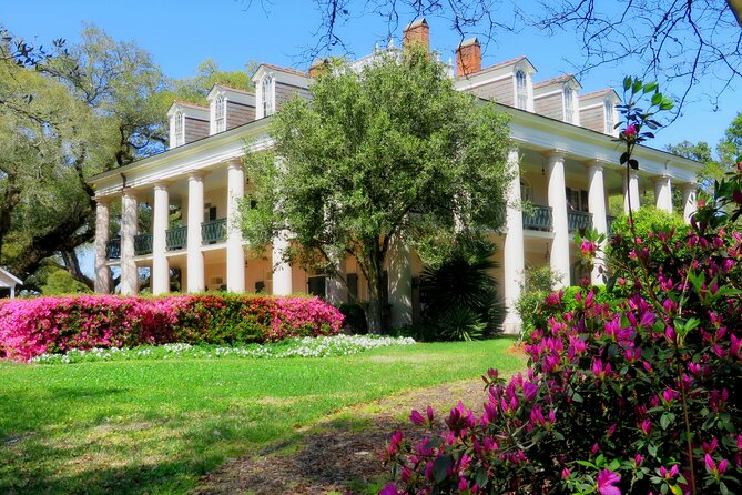 Swamp Boat Ride and Oak Alley Plantation Tour from New Orleans - A Deep Dive into the Full-Day Tour
