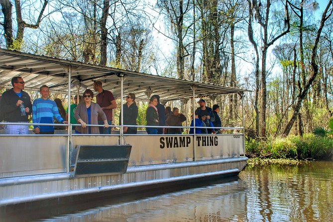 Swamp Boat Ride and Oak Alley Plantation Tour from New Orleans - Authentic Experiences and Reviewer Insights