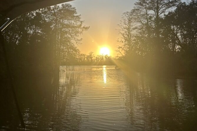 Swamp - Eco - Cruise and Walking Tour - Swamp - Eco - Cruise and Walking Tour Review