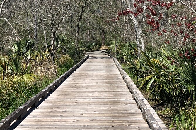 Swamp - Eco - Cruise and Walking Tour - Who Will Love This Tour?