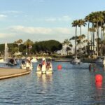 Swan Boat Rental at Rainbow Lagoon - Final Thoughts
