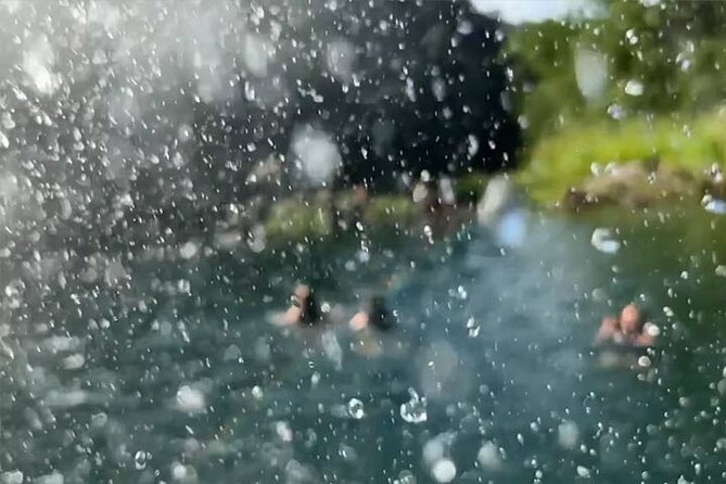 Swim at Oahu Waterfall in Waimea with Coffee, Lunch and Dole - A Deep Dive Into the Itinerary