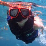 Swim With Manatees In Crystal River, Florida - The Experience Itself: What You Can Expect