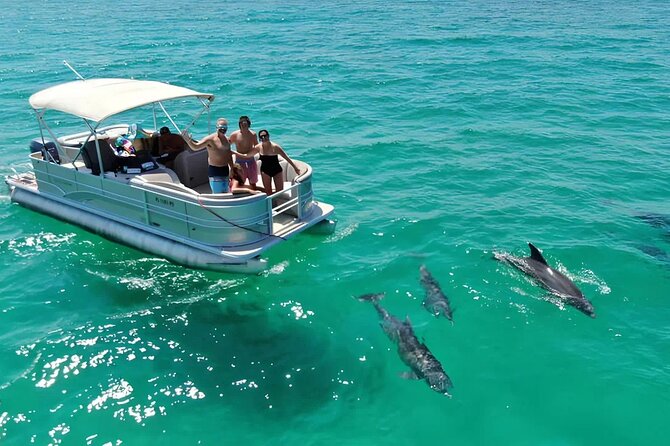 Swimming in a Dolphin and Manatee Lagoon Boat Tour - An In-Depth Look at the Dolphin and Manatee Lagoon Boat Tour