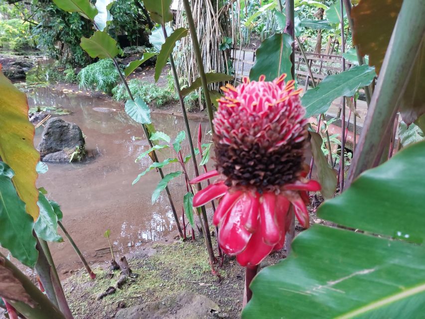 Tahiti Classical Coastal Full Day Private Tour - Who Will Love This Tour?