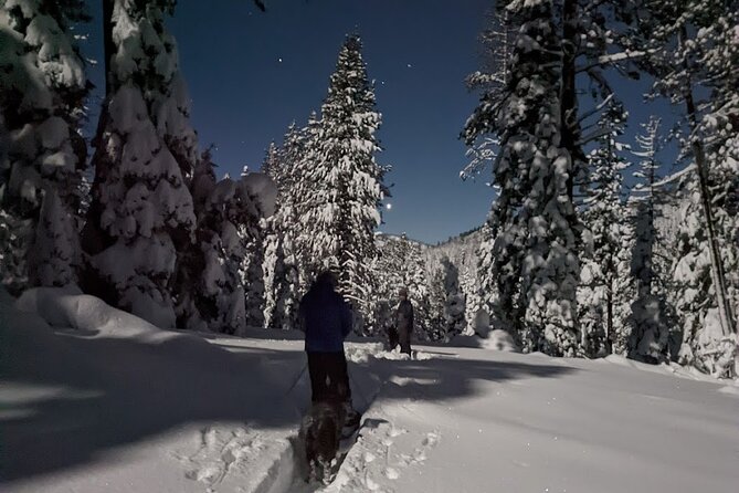 Tahoe National Forest Moonlight Snowshoe Tour Under a Starry Sky - Key Points