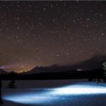 Tahoe National Forest Moonlight Snowshoe Tour Under a Starry Sky - What to Expect During the Tour