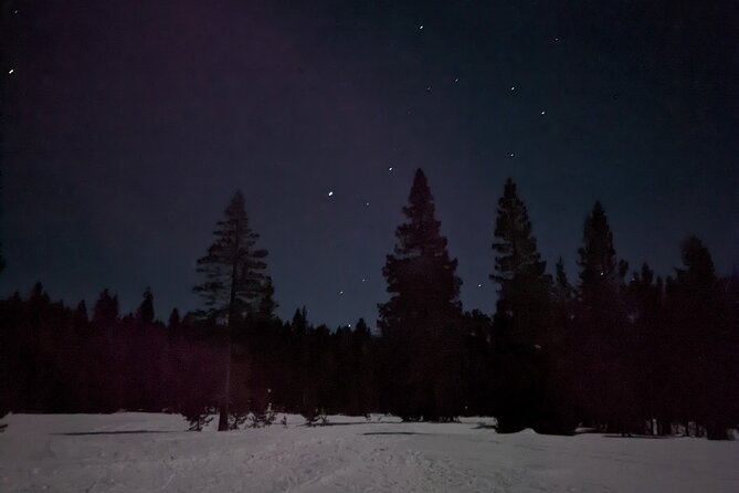 Tahoe National Forest Moonlight Snowshoe Tour Under a Starry Sky - Who Should Book This Tour?