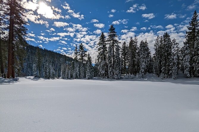 Tahoe National Forest Moonlight Snowshoe Tour Under a Starry Sky - FAQs