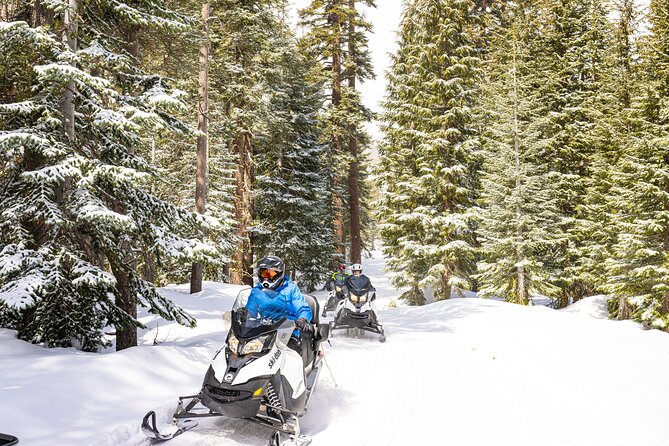 Tahoe Snowmobiling Tours - An In-Depth Look at the Tahoe Snowmobiling Experience
